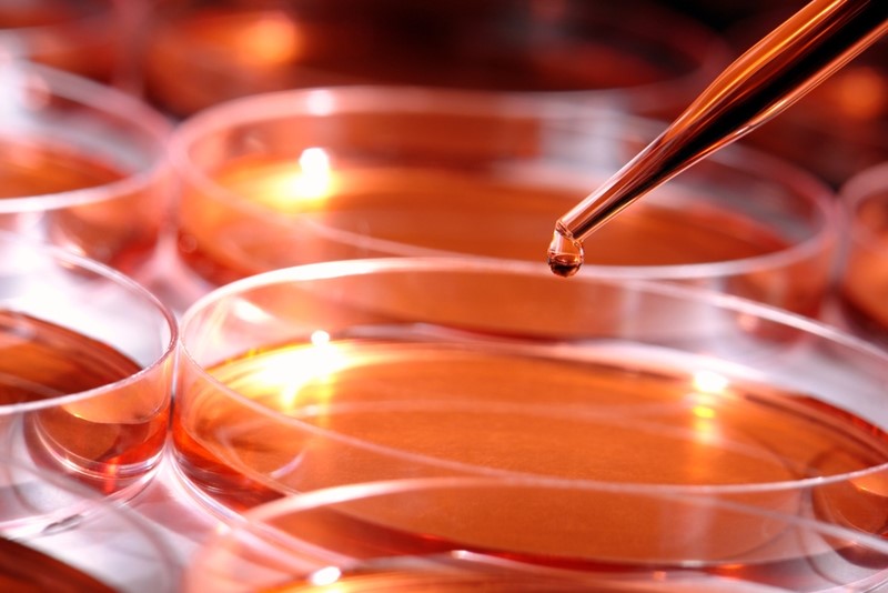 Optimize Quality Control for Efficient Pharma Manufacturing - USC ...